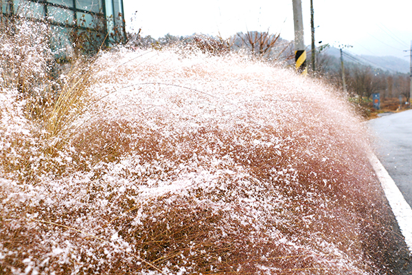 "잠시 쉬었다 가볼까?" 완주서 즐기는 '싱그러운' 여행